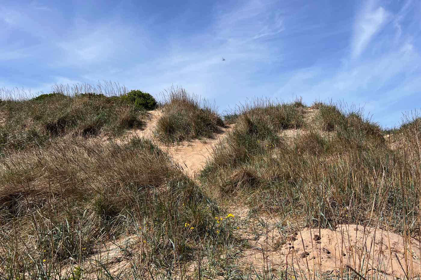 Falkenberg - staden med växtkraft! - Industriförmedling